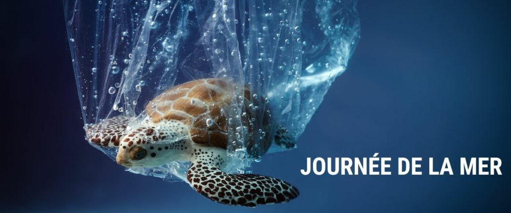 Journée Mondiale de la Mer 2023 : origine, thème, objectifs et date